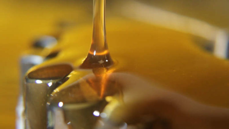 The Differences Between Cannabis Concentrates | The Beginners Guide