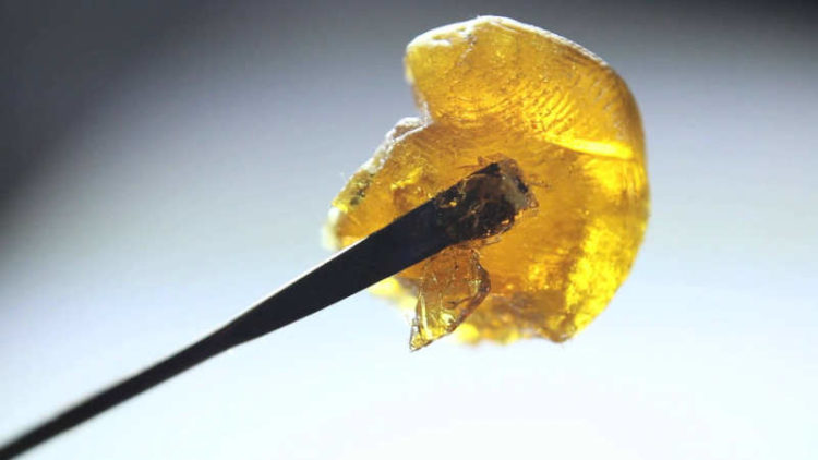The Differences Between Cannabis Concentrates | The Beginners Guide
