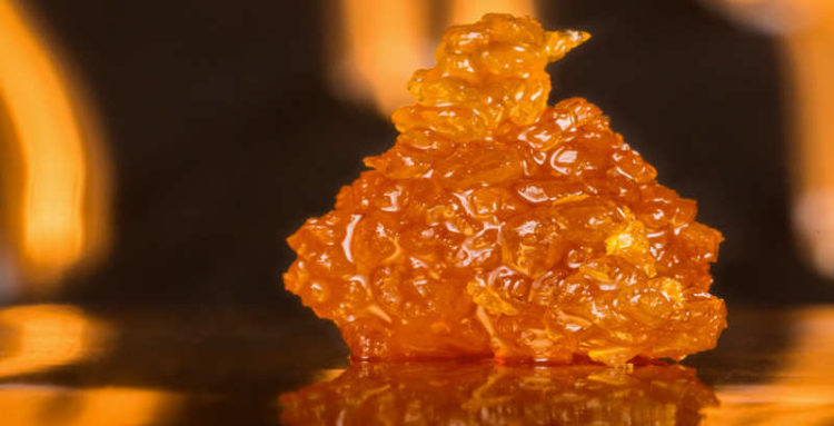 The Differences Between Cannabis Concentrates | The Beginners Guide